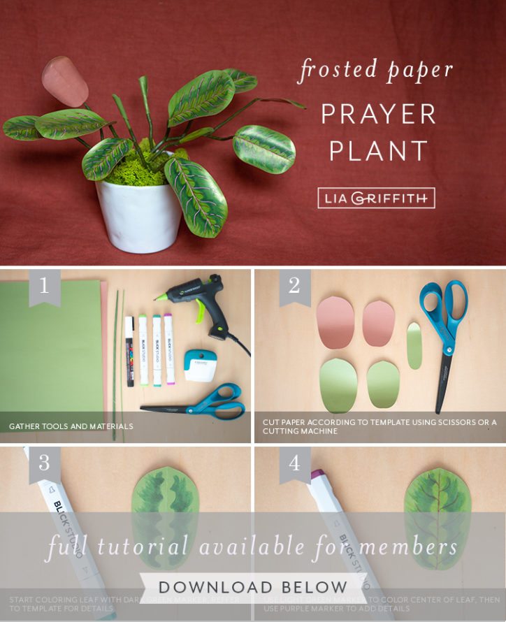 Frosted Paper Prayer Plant DIY Tutorial - Lia Griffith