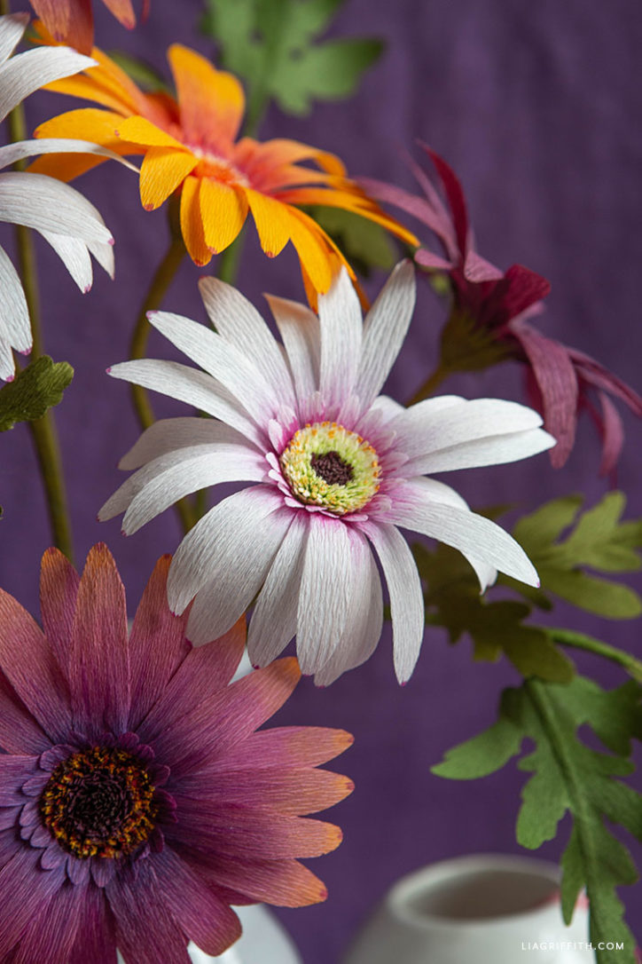 Crepe Paper African Daisy - Member Make Workshop - Lia Griffith