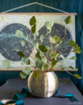 Video Tutorial: Crepe Paper Silver Dollar Eucalyptus - Lia Griffith
