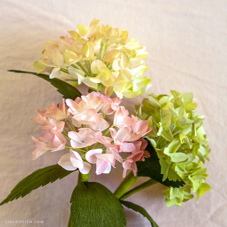 Crepe Paper Hydrangeas - Member Make Workshop - Lia Griffith