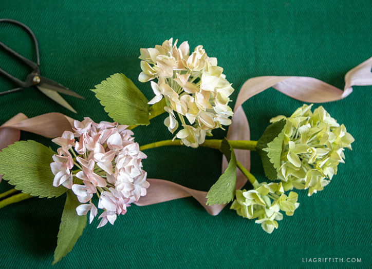 Crepe Paper Hydrangeas - Member Make Workshop - Lia Griffith