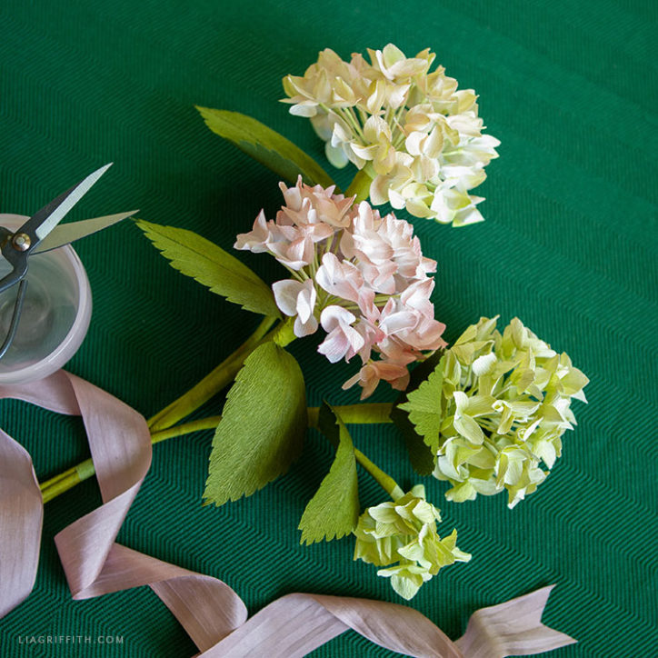 Crepe Paper Hydrangeas - Member Make Workshop - Lia Griffith