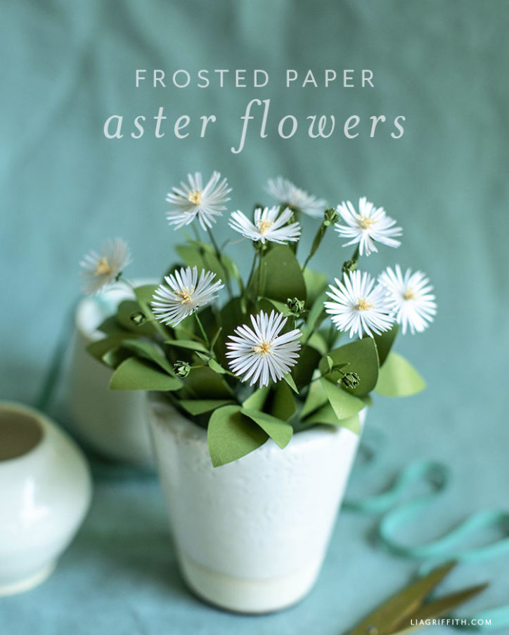 Frosted Paper Asters Flower Pattern & Tutorial - Lia Griffith