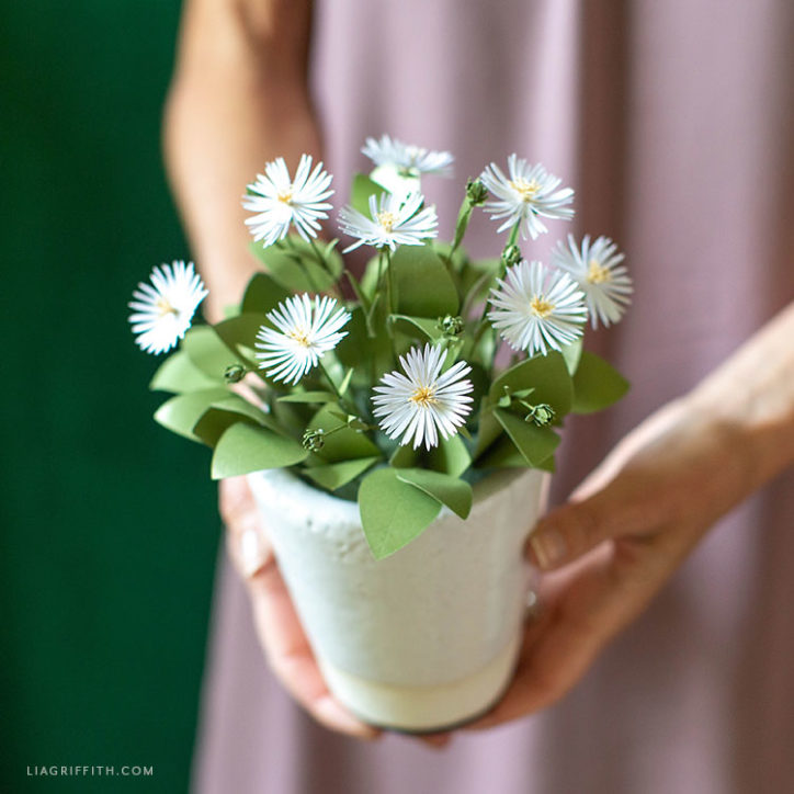 Frosted Paper Asters Flower Pattern & Tutorial - Lia Griffith