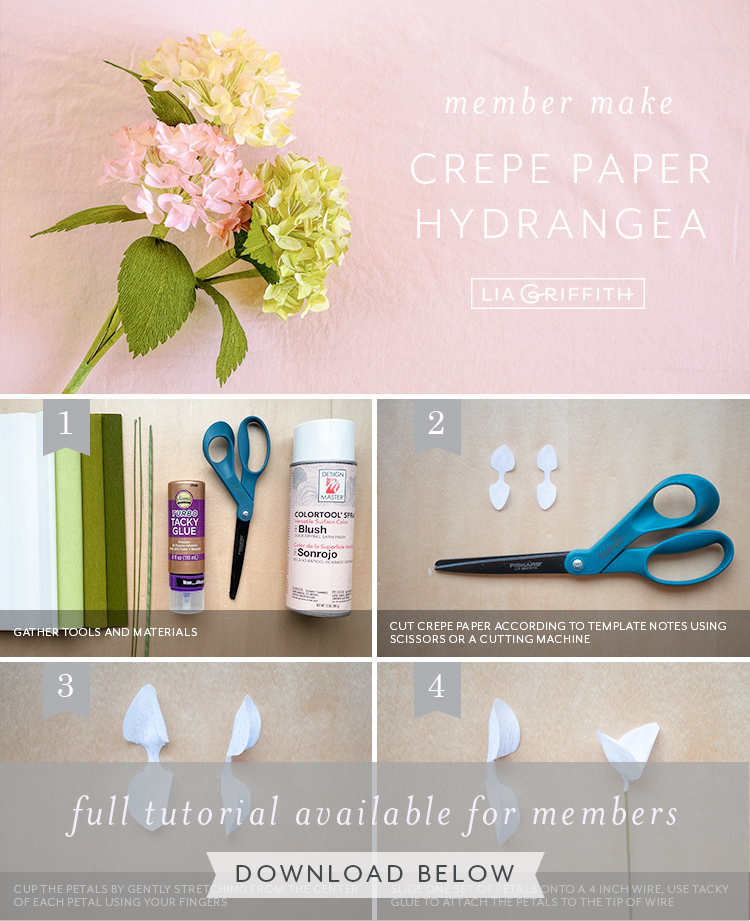 Crepe Paper Hydrangeas - Member Make Workshop - Lia Griffith