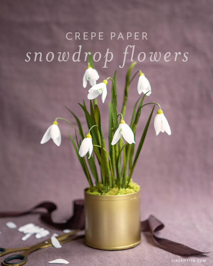 Potted Crepe Paper Snowdrops Flower Pattern & Tutorial - Lia Griffith
