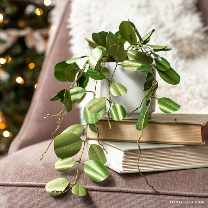 Frosted Paper Hoya Obovata Plant DIY Tutorial - Lia Griffith