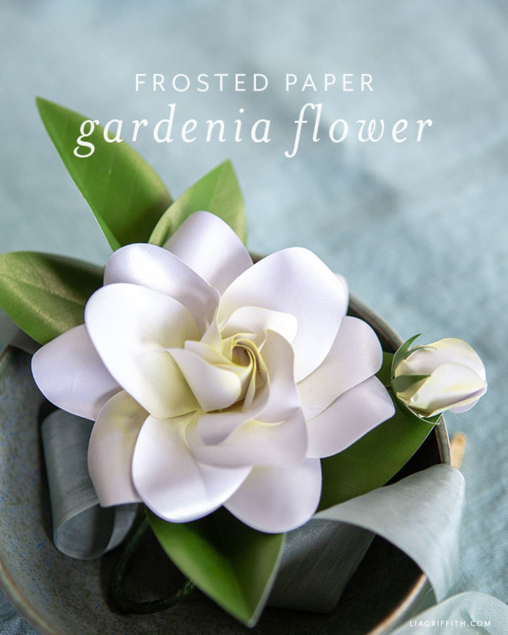 Frosted Paper Gardenia Flower Template & Tutorial - Lia Griffith