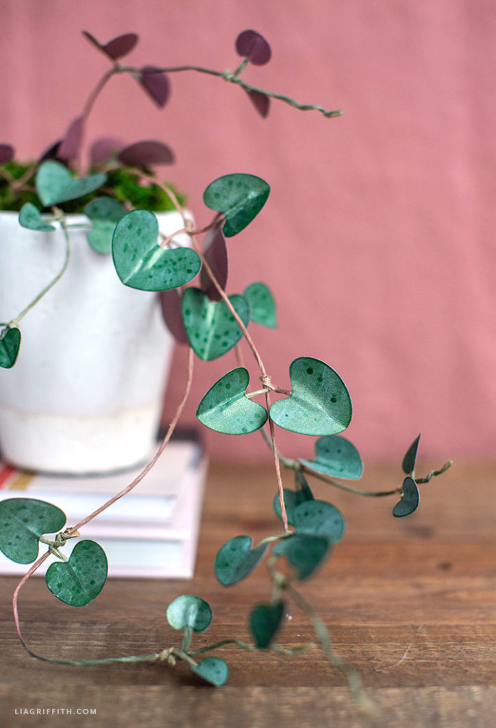 Frosted Paper String of Hearts Plant - Lia Griffith