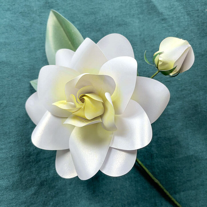 A Beginner's Guide to Frosted Paper Flowers - Lia Griffith