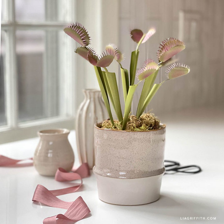 Frosted Paper Venus Fly Trap - Lia Griffith