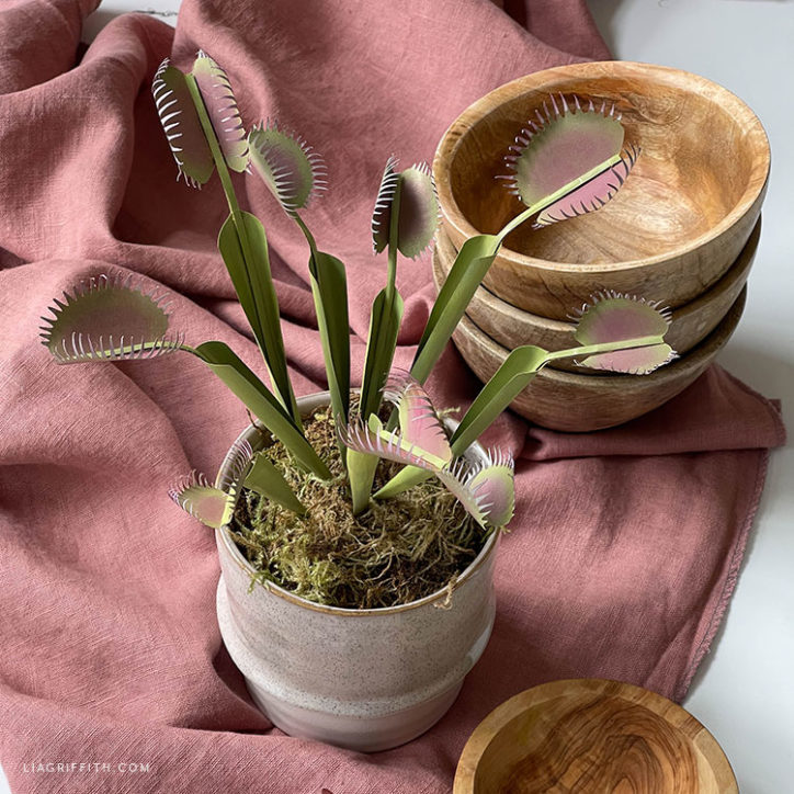 Frosted Paper Venus Fly Trap - Lia Griffith