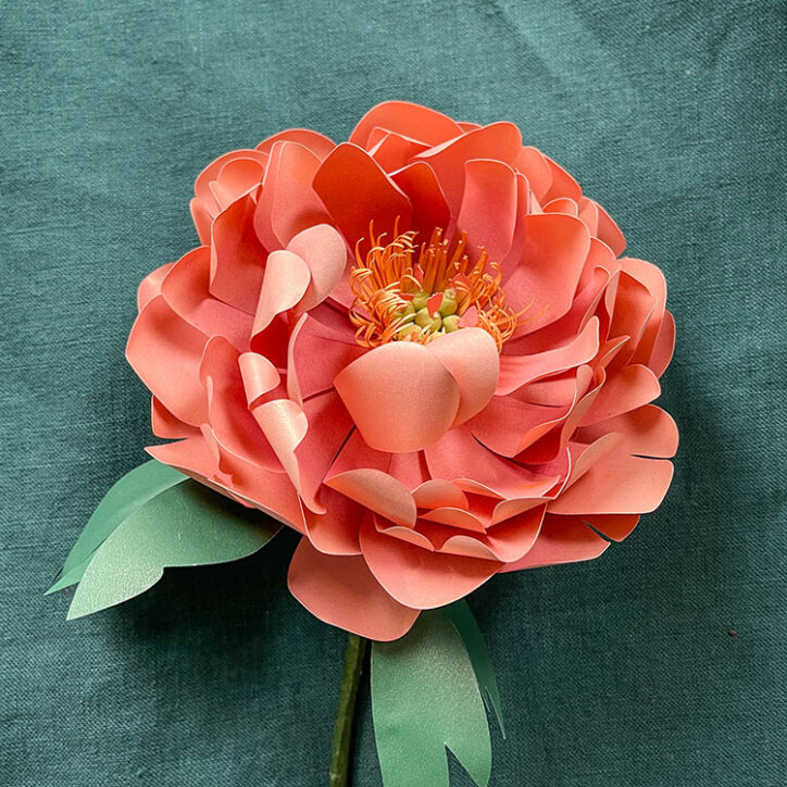 A Beginner's Guide to Frosted Paper Flowers - Lia Griffith