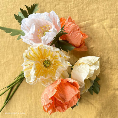 Painted Crepe Paper Poppies Template & Tutorial - Lia Griffith