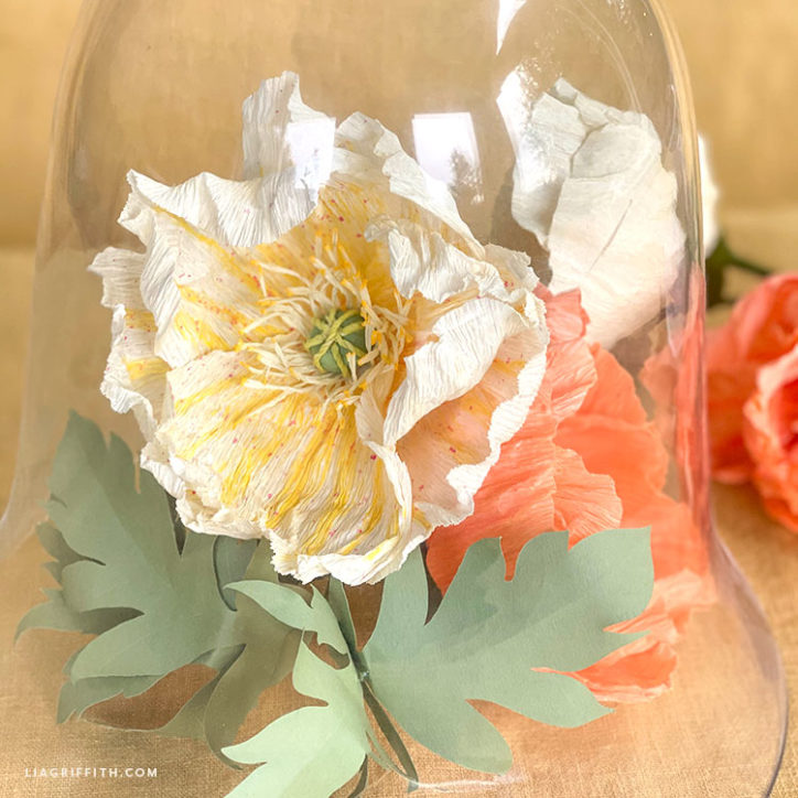 Painted Crepe Paper Poppies Template & Tutorial - Lia Griffith