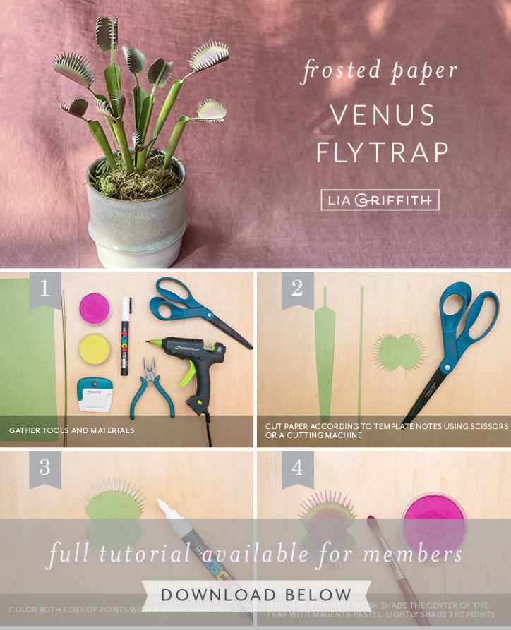 Frosted Paper Venus Fly Trap - Lia Griffith