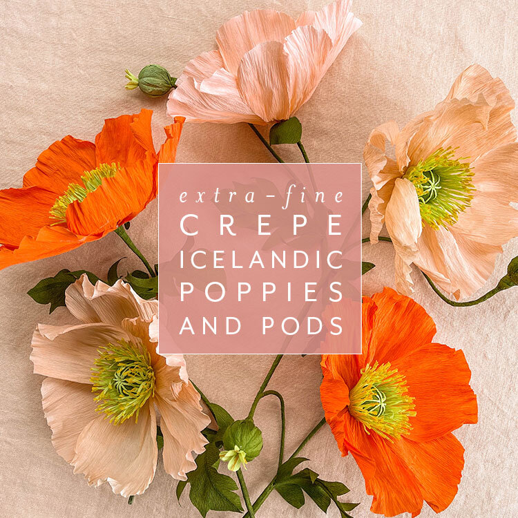 Extra-Fine Crepe Paper Icelandic Poppies - Lia Griffith
