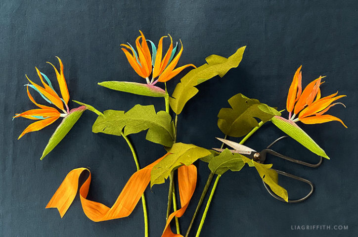 May Member Make: Heavy Crepe Paper Bird of Paradise - Lia Griffith