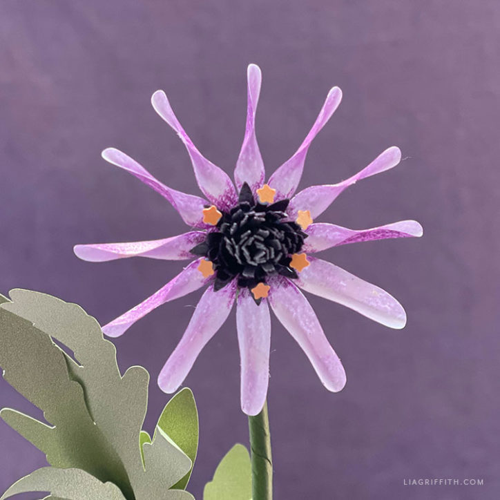 Frosted Paper Spoon Daisy Flower Pattern & Tutorial - Lia Griffith