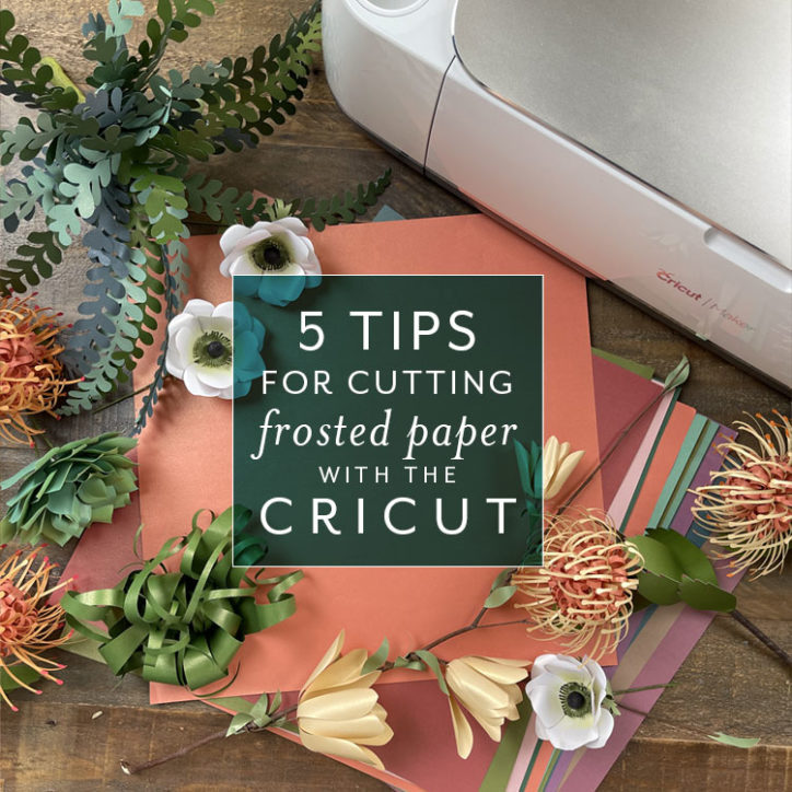 VIDEO: 5 Tips For Cutting Frosted Paper with Cricut - Lia Griffith