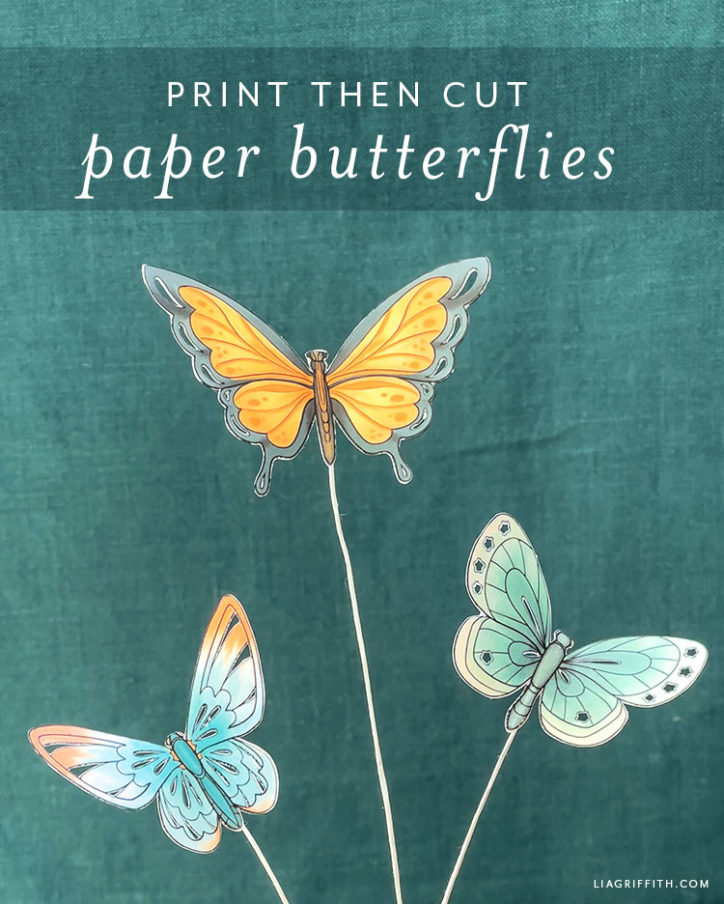Paper Butterflies DIY Template & SVG File - Lia Griffith