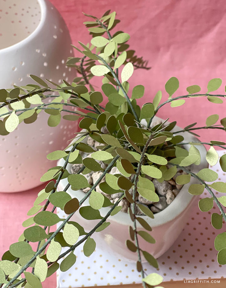 Frosted Paper Button Fern Template & Tutorial - Lia Griffith