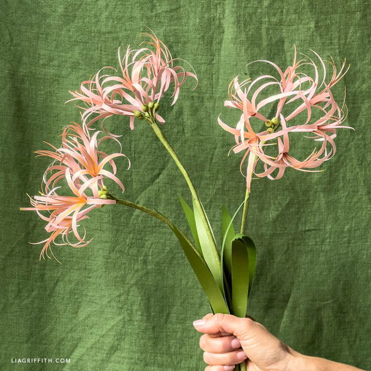 Frosted Paper Spider Lily Template & Tutorial - Lia Griffith