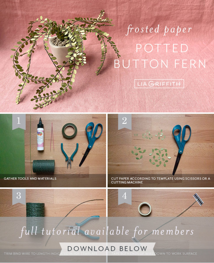 Frosted Paper Button Fern Template & Tutorial - Lia Griffith