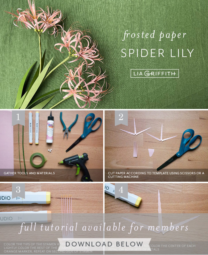Frosted Paper Spider Lily Template & Tutorial - Lia Griffith