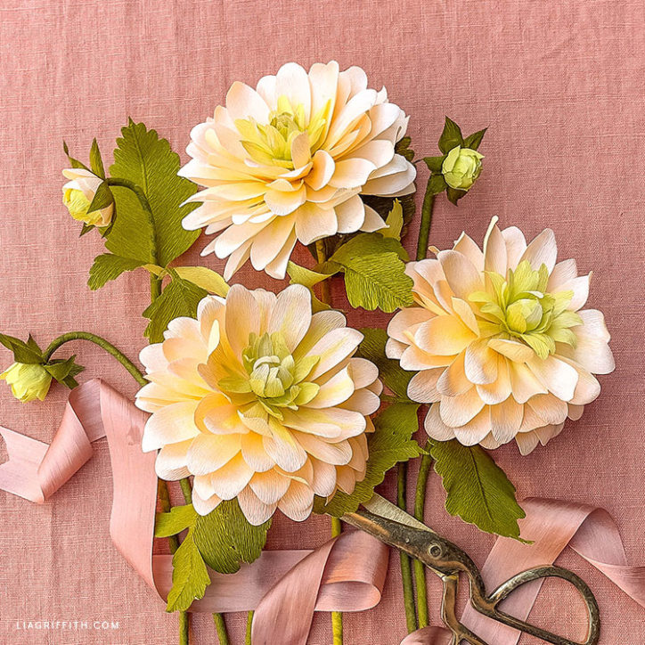 Crepe Paper Peaches and Dreams Dahlia - Lia Griffith