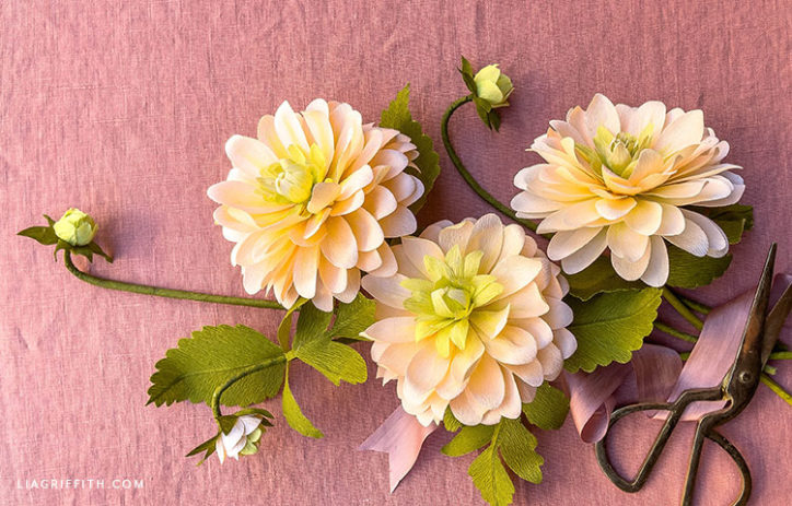Crepe Paper Peaches and Dreams Dahlia - Lia Griffith