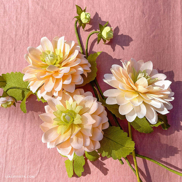 Crepe Paper Peaches and Dreams Dahlia - Lia Griffith