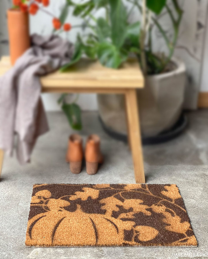 DIY Video Tutorial: Fall Themed Doormat - Lia Griffith