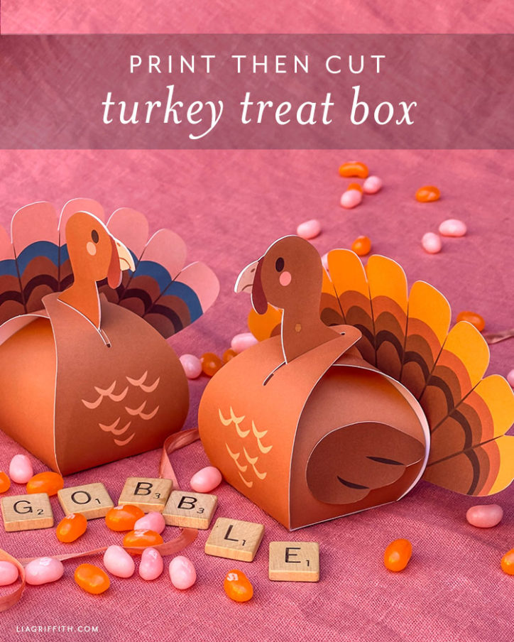 Turkey Treat Box DIY for Thanksgiving - Lia Griffith