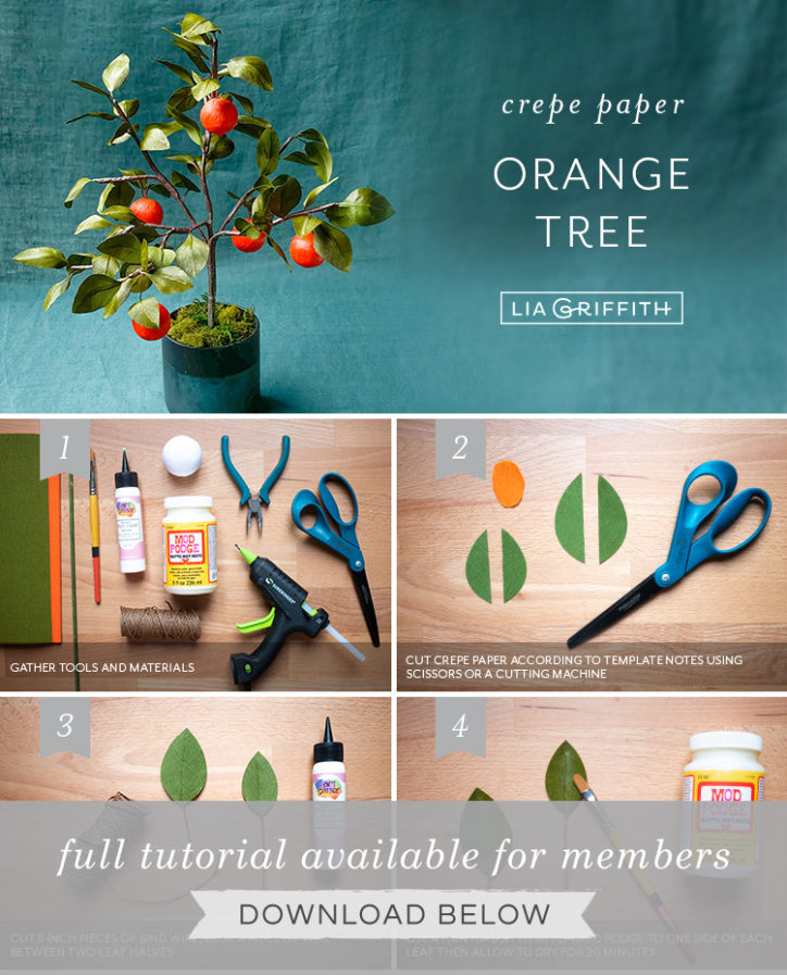 Crepe Paper Orange Tree DIY Tutorial - Lia Griffith