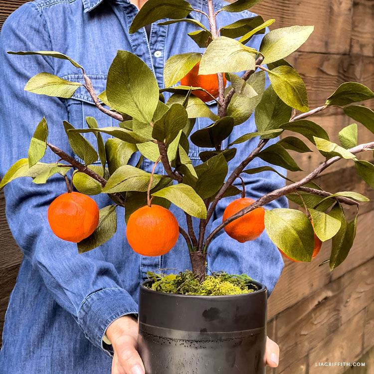 Crepe Paper Orange Tree DIY Tutorial - Lia Griffith