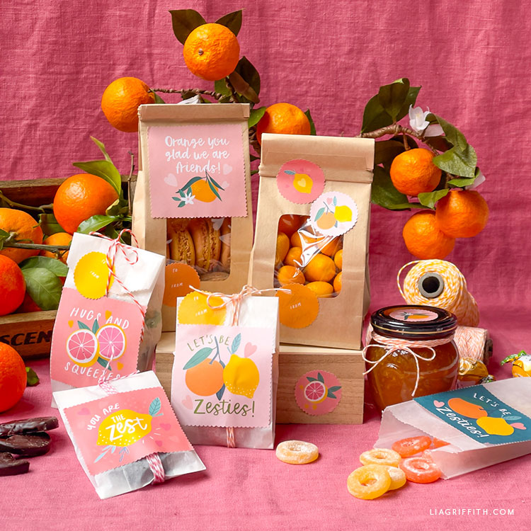Free Printable Citrus Valentine's Day Labels - Lia Griffith