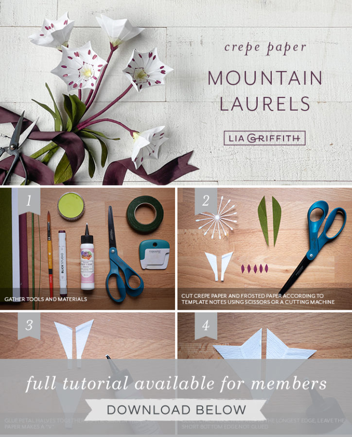 Crepe Paper Mountain Laurels Template & Tutorial - Lia Griffith