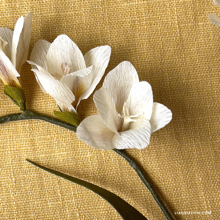 Member Make Workshop: Crepe Paper Freesia - Lia Griffith
