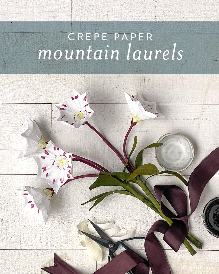 Crepe Paper Mountain Laurels Template & Tutorial - Lia Griffith
