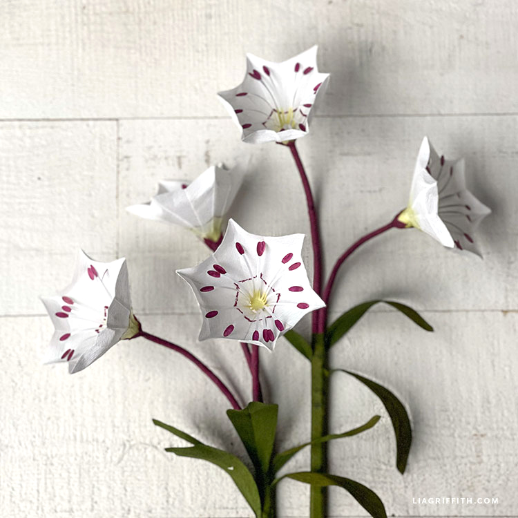 Crepe Paper Mountain Laurels Template & Tutorial - Lia Griffith