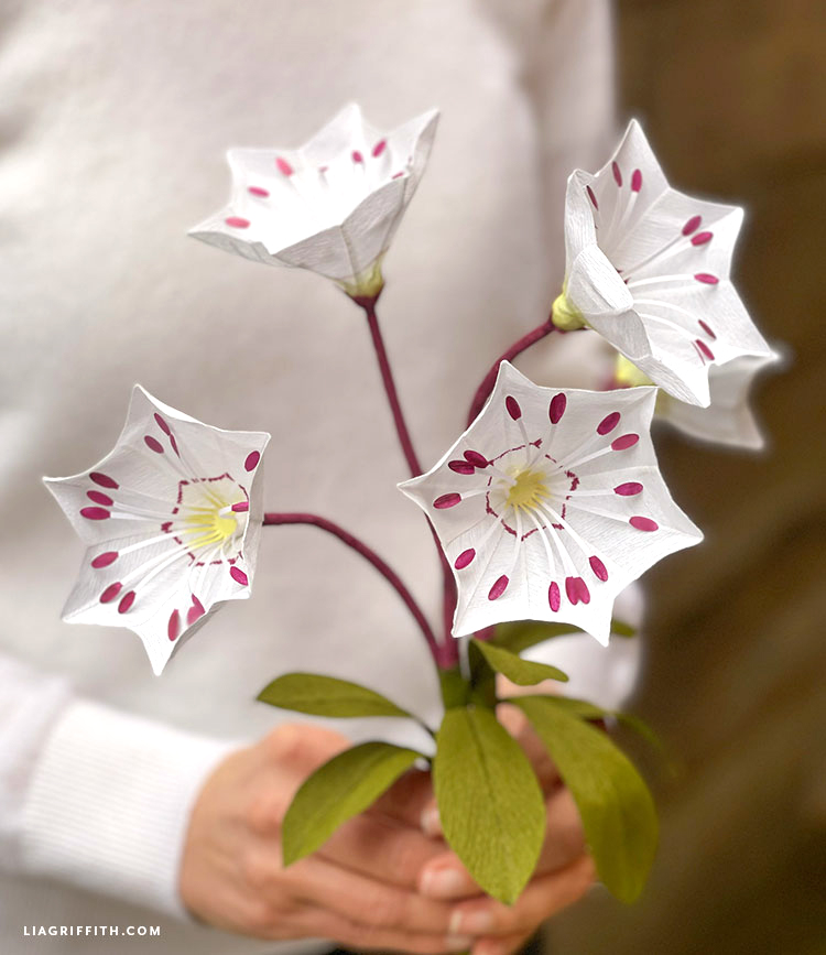 Crepe Paper Mountain Laurels Template & Tutorial - Lia Griffith