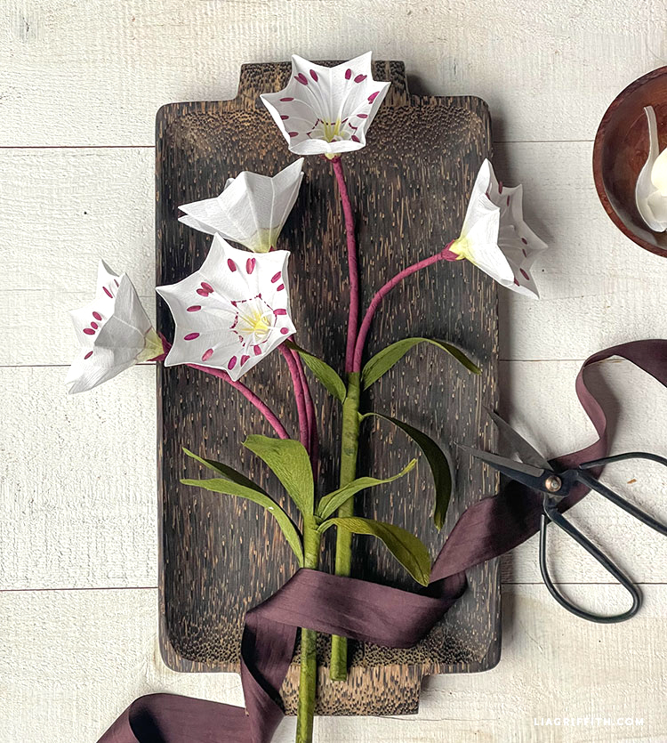 Crepe Paper Mountain Laurels Template & Tutorial - Lia Griffith