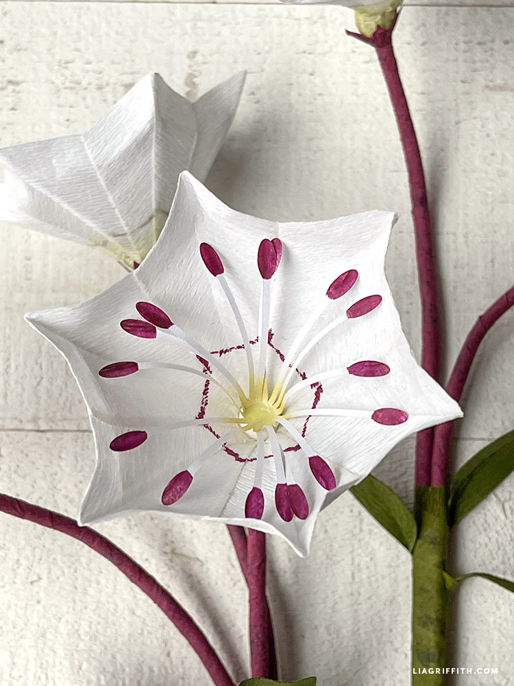 Crepe Paper Mountain Laurels Template & Tutorial - Lia Griffith