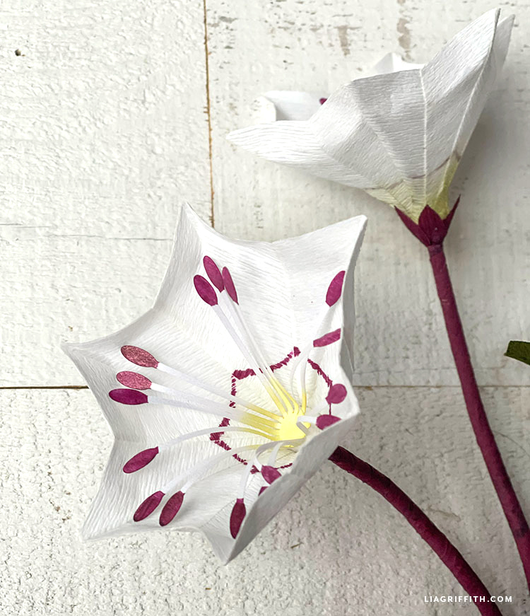 Crepe Paper Mountain Laurels Template & Tutorial - Lia Griffith