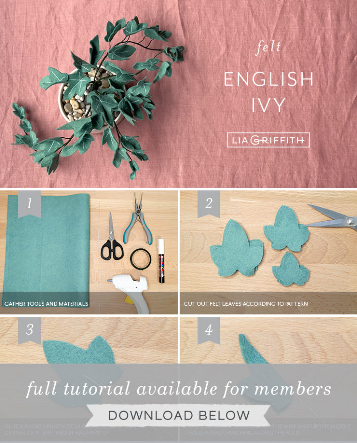 Felt English Ivy Plant Template & Tutorial - Lia Griffith
