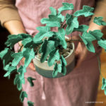 Felt English Ivy Plant Template & Tutorial - Lia Griffith