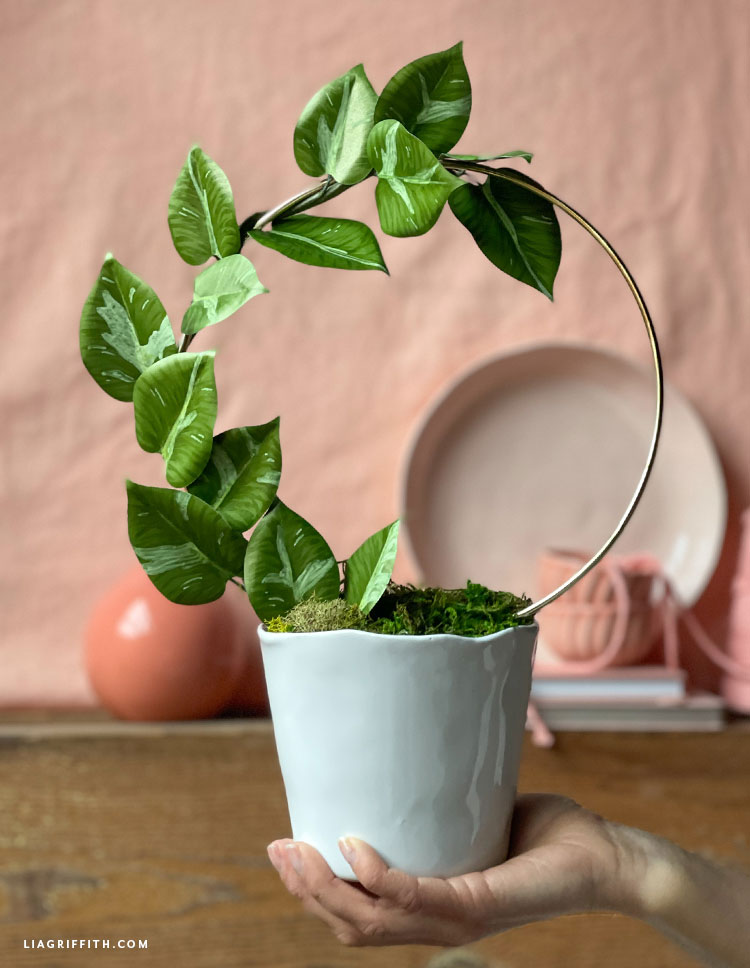 Frosted Paper Climbing Vine Plant Template & Tutorial - Lia Griffith