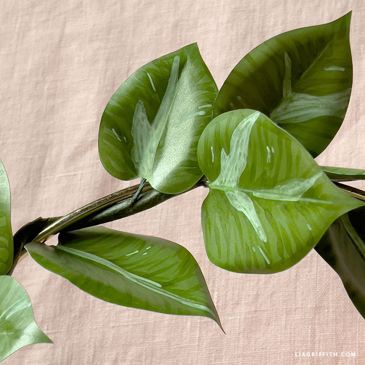 Frosted Paper Climbing Vine Plant Template & Tutorial - Lia Griffith