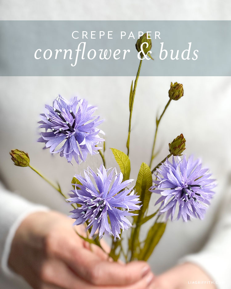 Crepe Paper Cornflowers & Buds (Workshop) - Lia Griffith